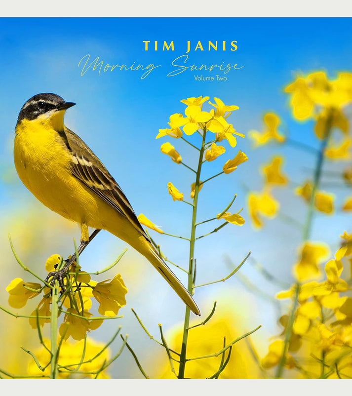 Tim Janis: Morning Sunrise Volume II - Relaxing Music – Tim Janis Ensemble