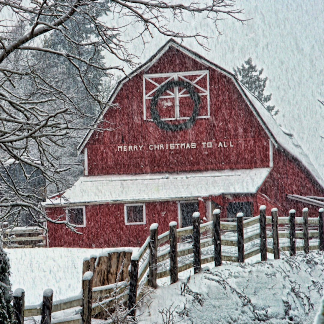 Tim Janis: Relaxation Music & Eco-Peace Apparel – Tim Janis Ensemble