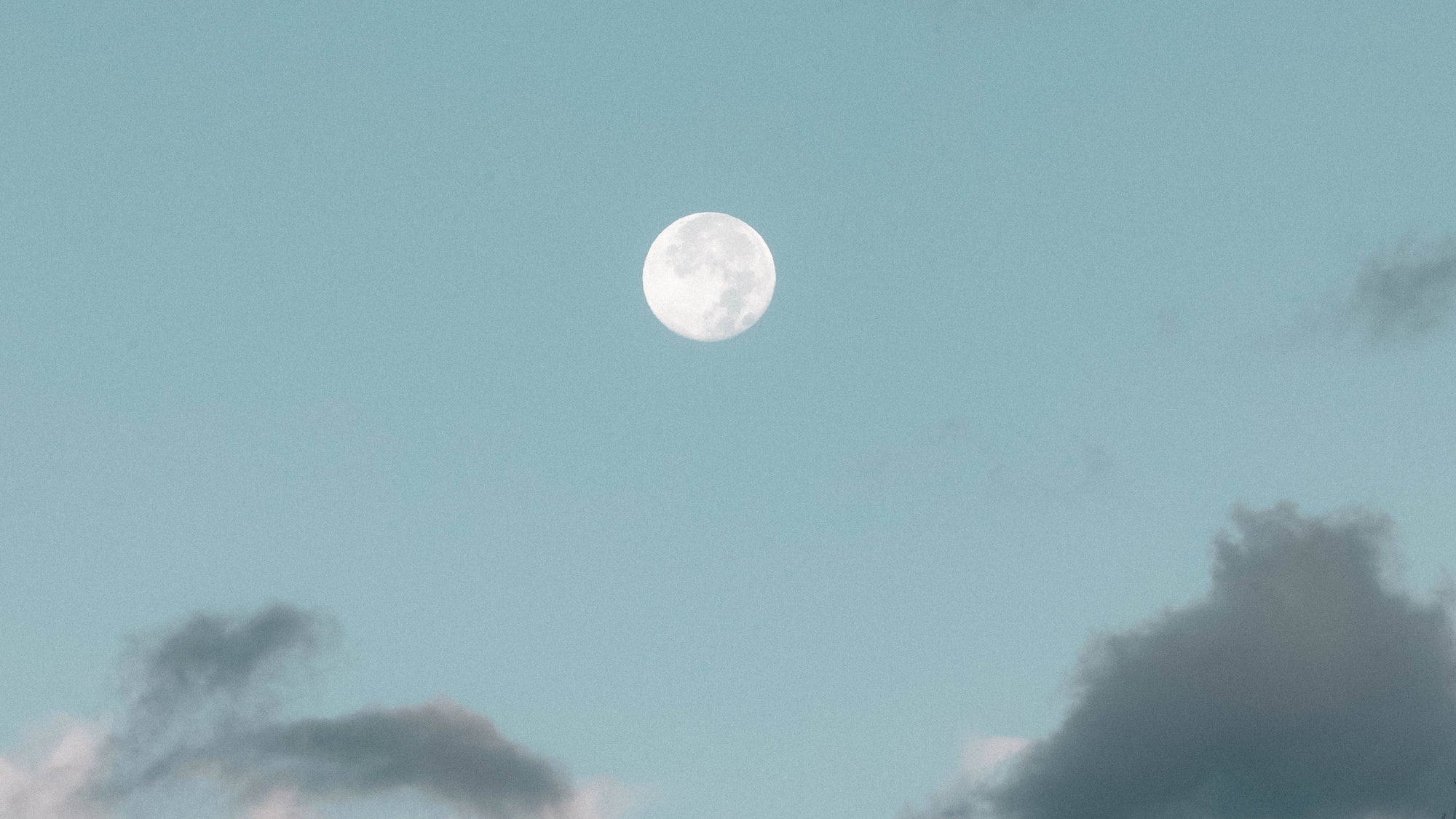 Tim Janis: Relaxation Music & Eco-Peace Apparel – Tim Janis Ensemble