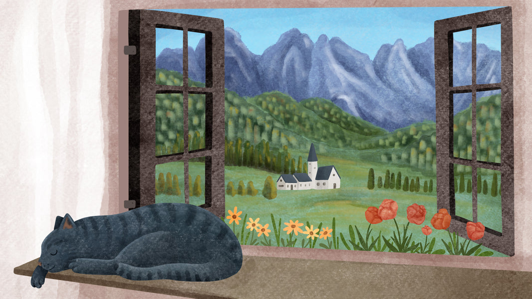 Tim Janis: Relaxation Music & Eco-Peace Apparel – Tim Janis Ensemble