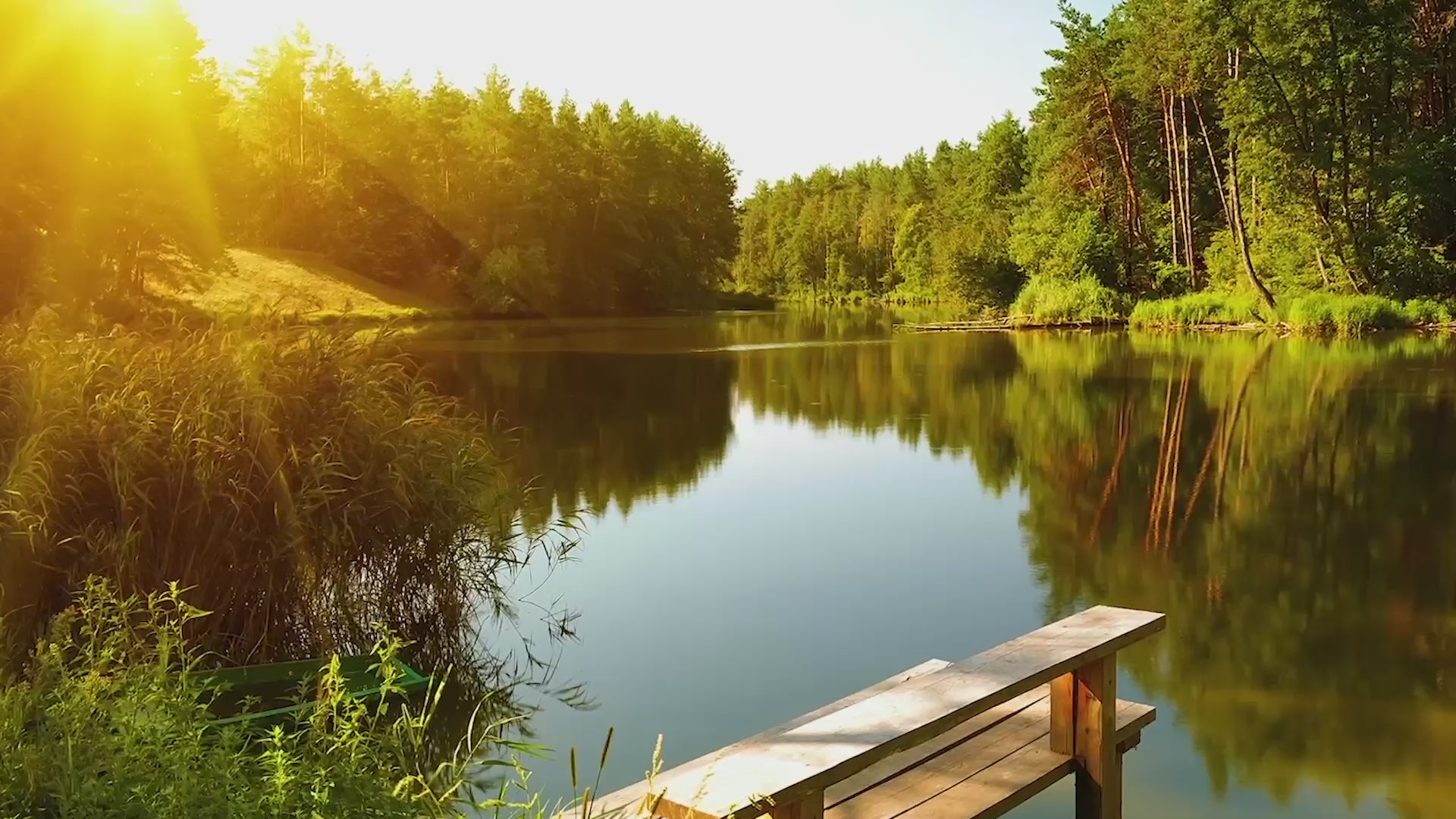 Tim Janis: Flowers in October - Calming Sounds for Relaxation – Tim ...