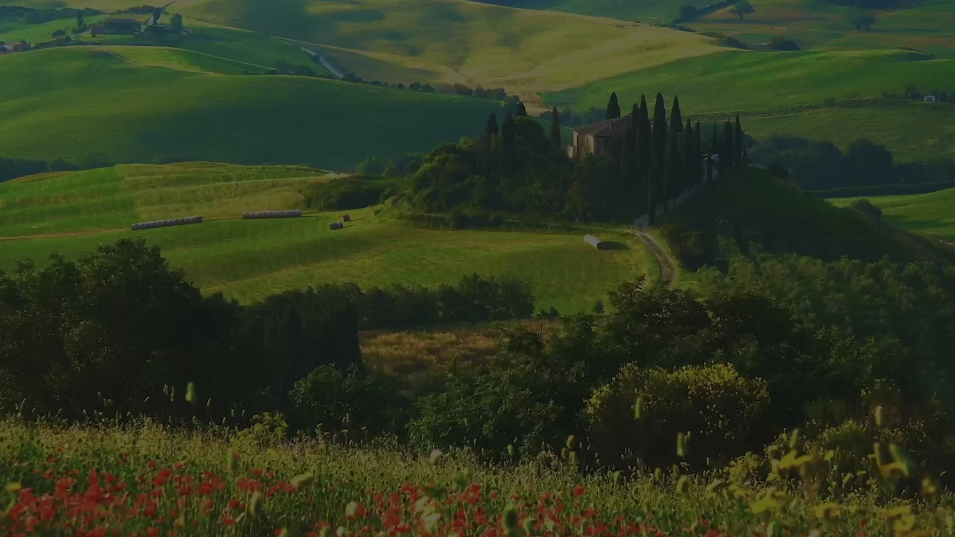 Tim Janis: Autumn in Tuscany - Calm Sleep Music – Tim Janis Ensemble