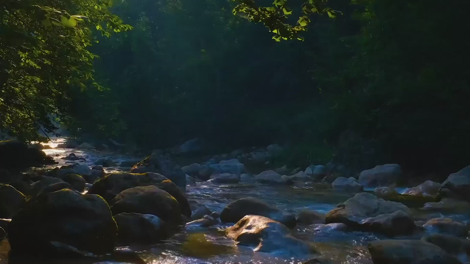 Tim Janis: Morning Sunrise Volume II - Relaxing Music – Tim Janis Ensemble